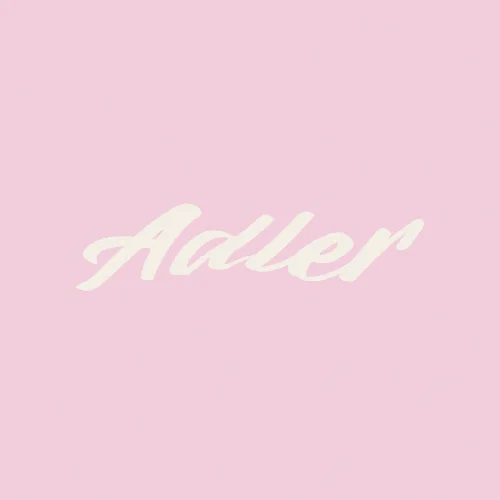 Adler Bag Tasarımı Ürünler ve Fiyatları | hipicon | hipicon