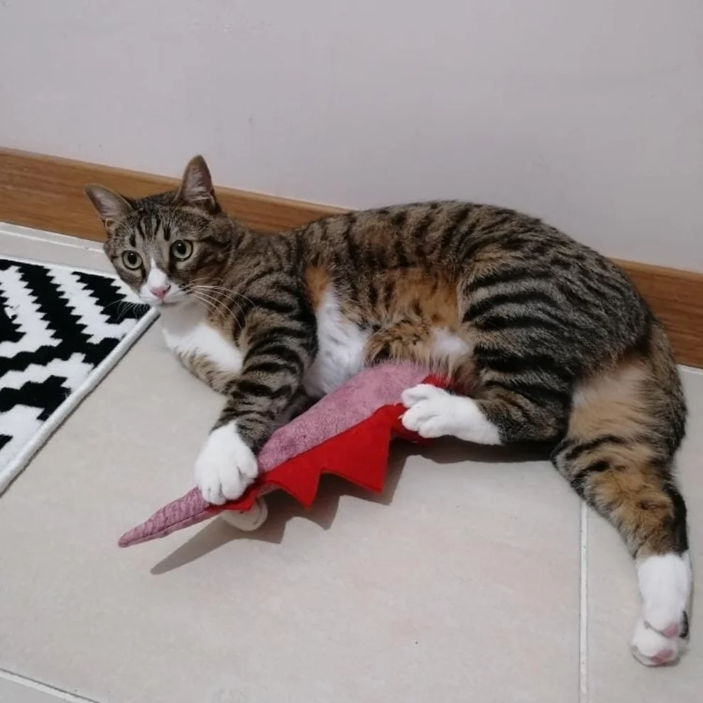 Pawdaz - Matatabi - Dıno (40x12cm) Cat Toy With Lots Of Sound And Smell ...